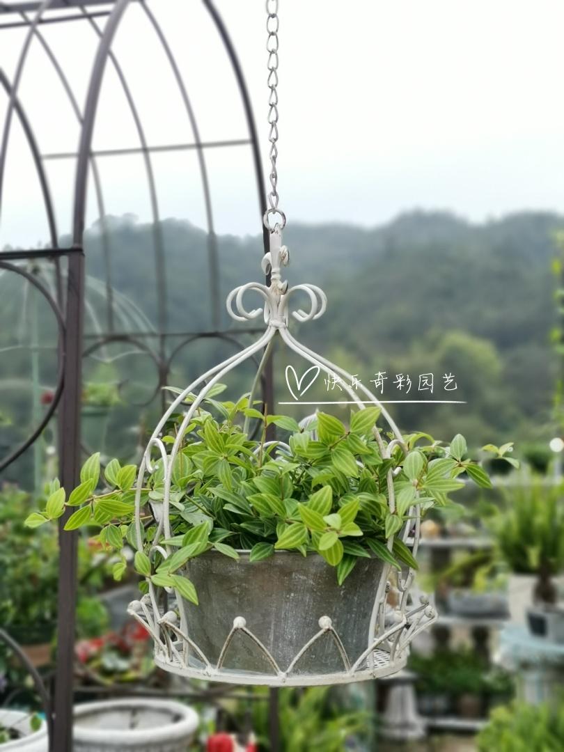 American country wrought iron hanging crown hangin... – Grandado