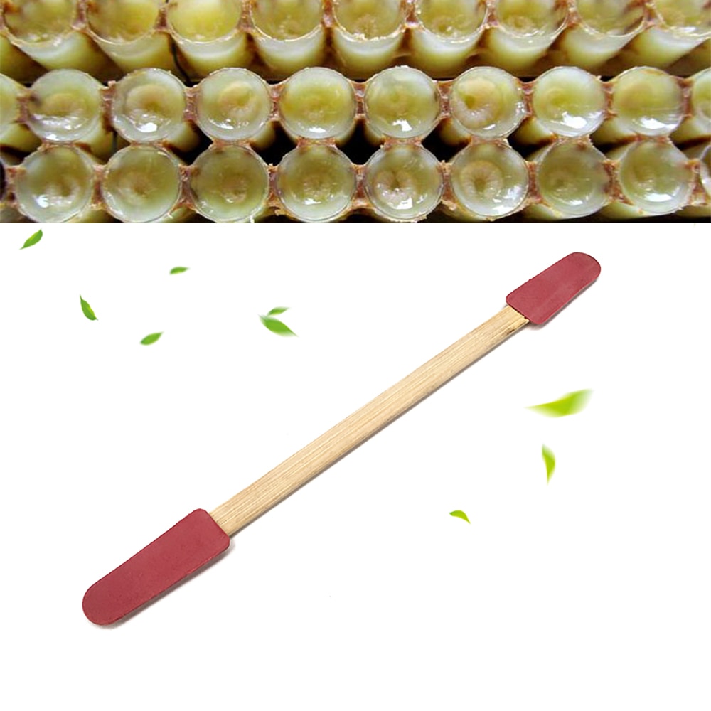 5Pcs Tweekoppige Bijenteelt Bamboe Plastic Nemen V... – Vicedeal