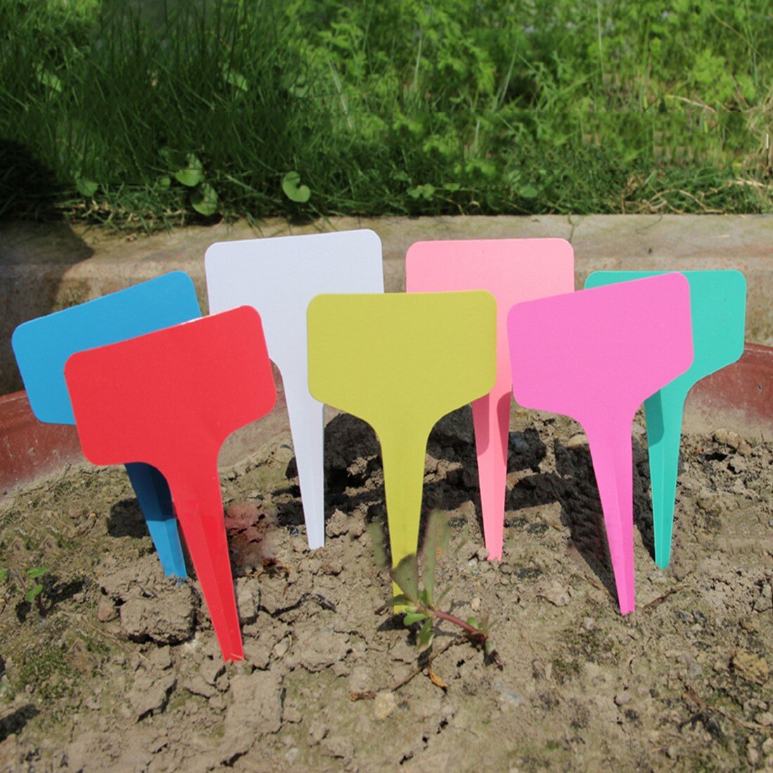 100Pcs Garden Tags T Type PVC Seedings Tag Sign Pl... – Vicedeal