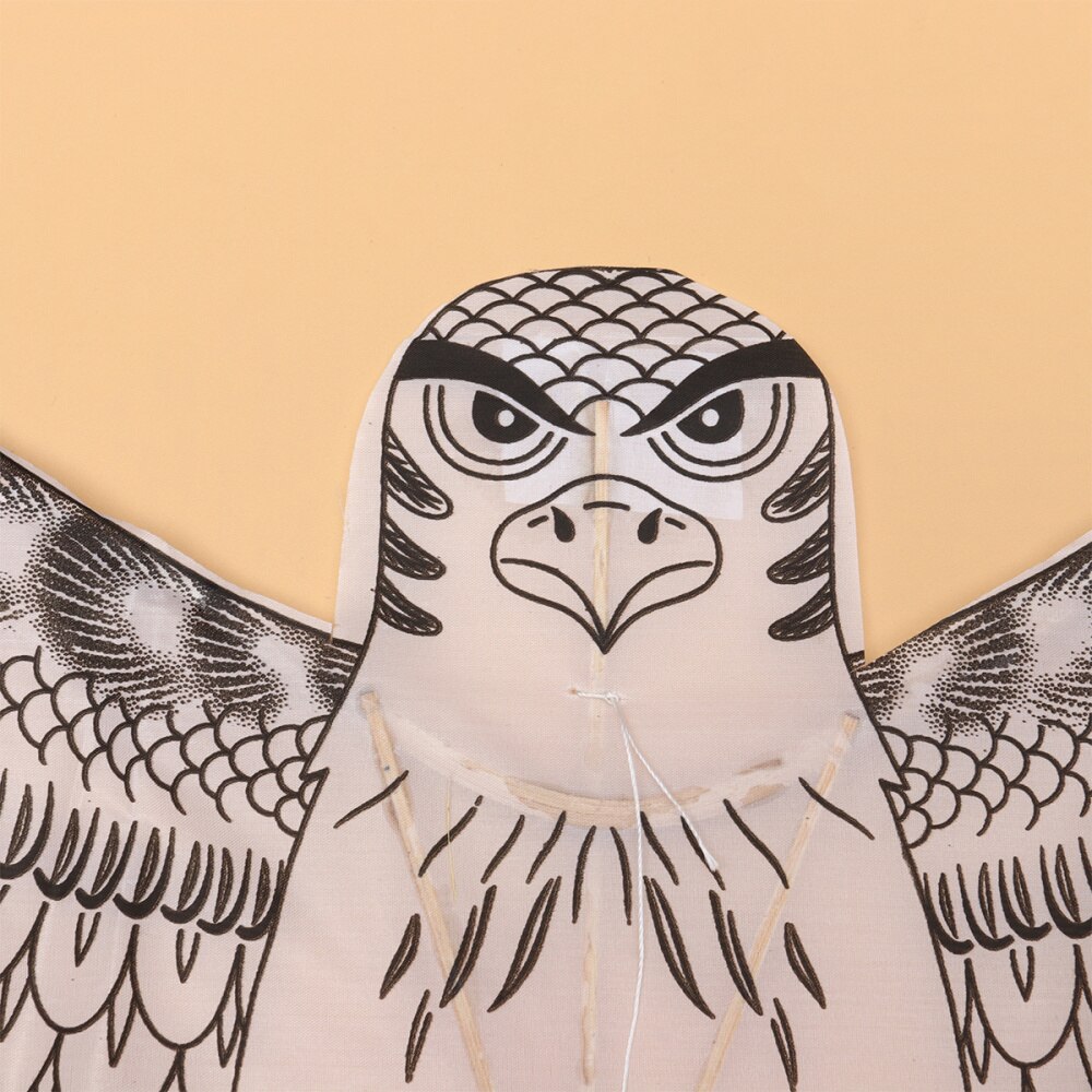 2pcs DIY Eagle Kites Fun Graffiti Kite Hand-painti... – Grandado