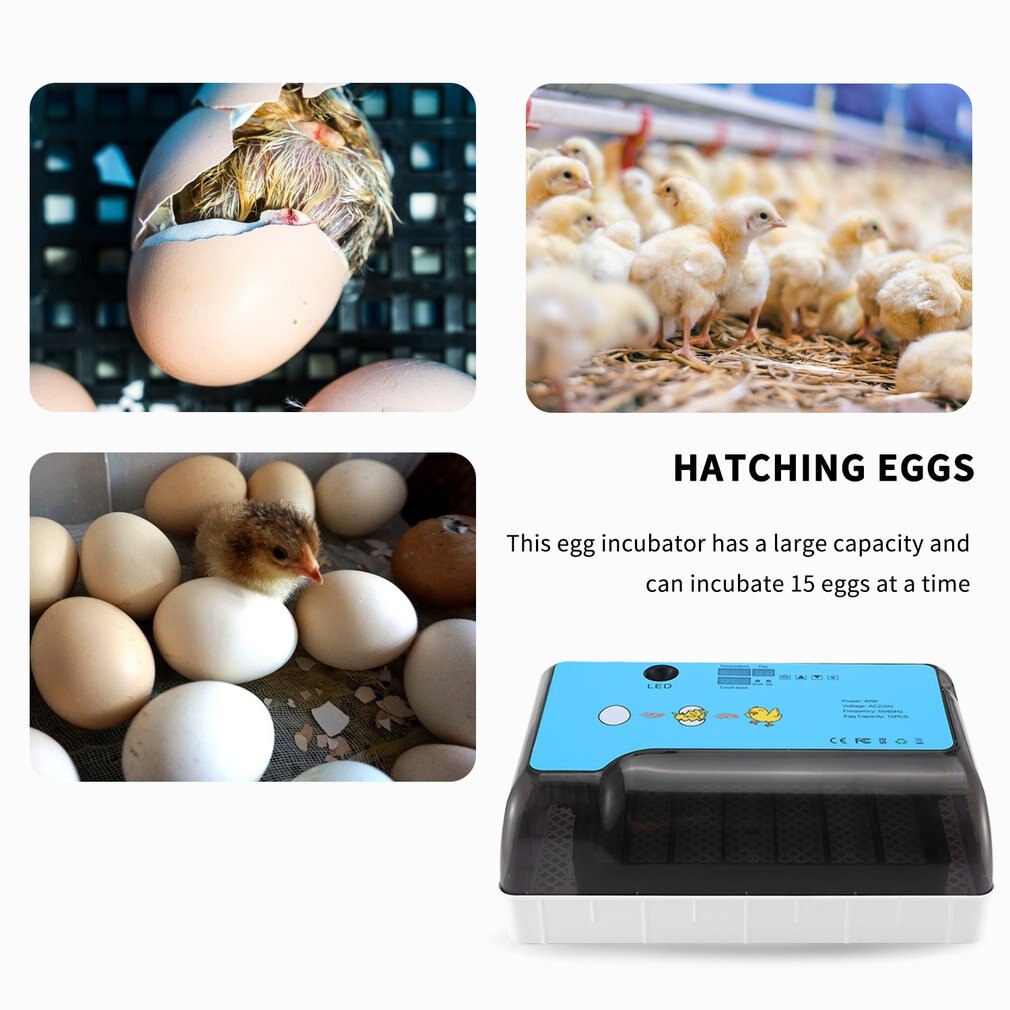 12 Eggs Incubator Time Control Convenient Automati... – Grandado