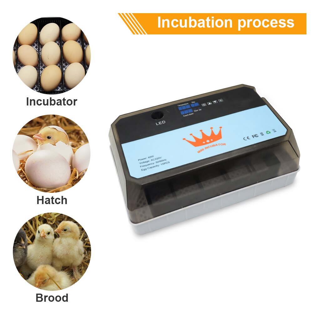 High Hatching Rate Farm Hatchery Incubator Brooder... – Vicedeal