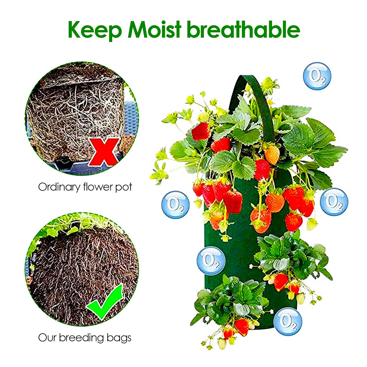 13 Holes Strawberry Planting Bags Reusable Felt Fa... – Grandado