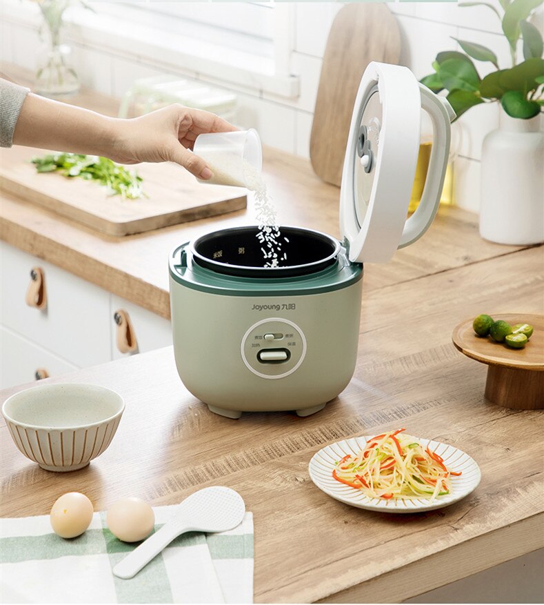 220V 2L Electric Rice Cooker Household Mini Multi ... – Grandado