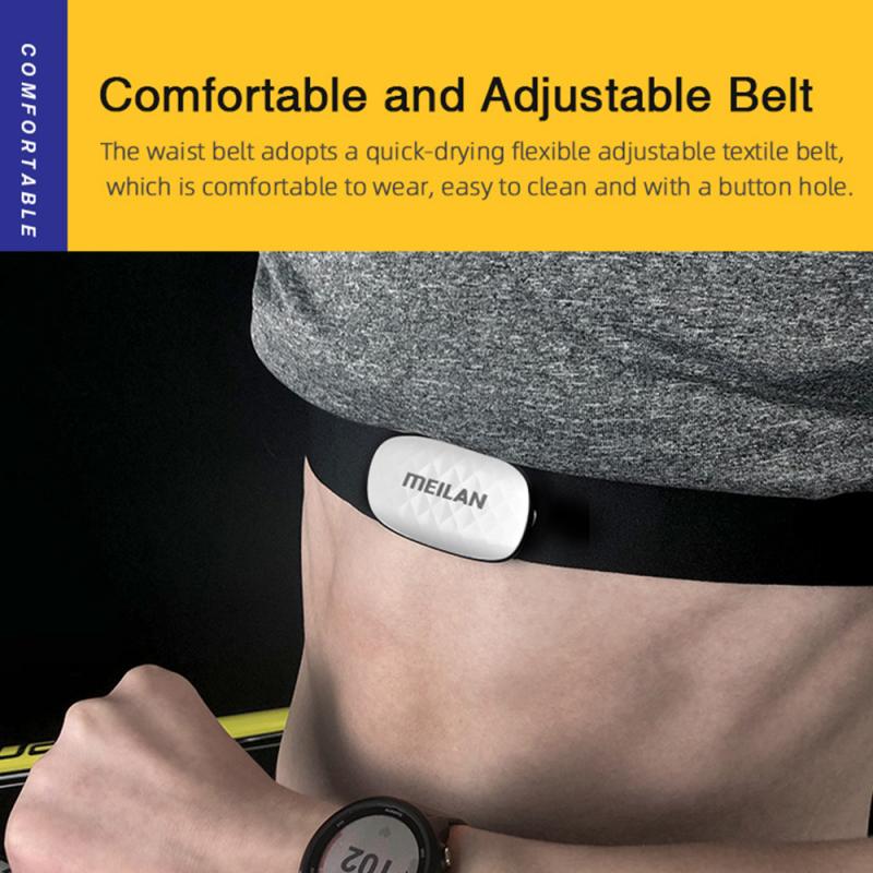 C5 Wireless Bluetooth Sports Heart Rate Monitor He... – Grandado