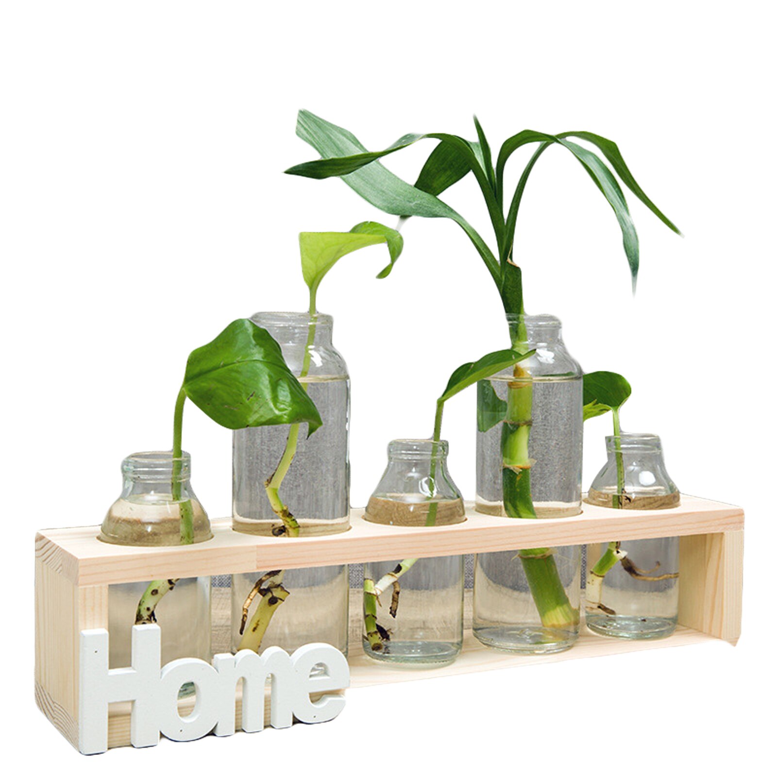 Florero hidropónico de 3 estilos, decoración con l... – Grandado