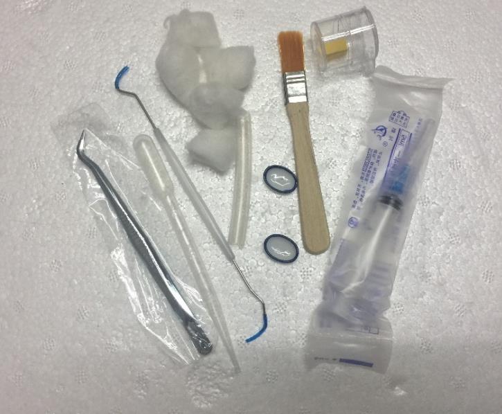 Pet Ant Nest Toolkit with Water Feeder Tweezers Dr... – Grandado