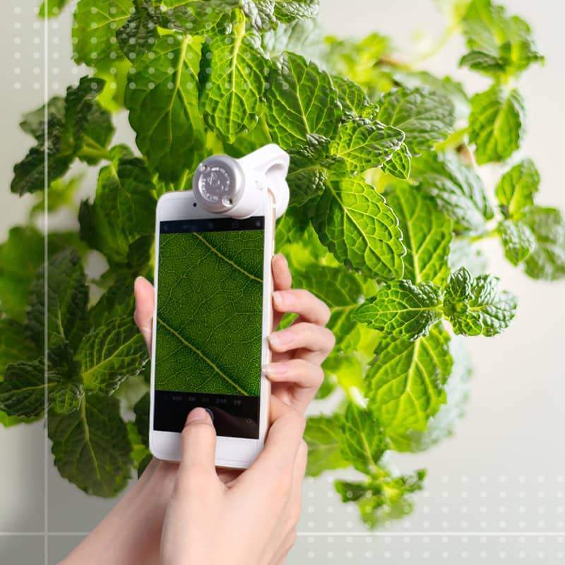 LED Mobile Phone Microscope External Head HD Fishe... – Vicedeal