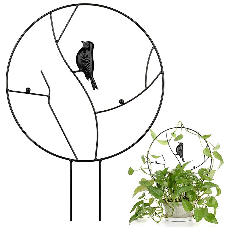 2PCS Garden Plant Support, Metal Plant Support Pil... – Grandado