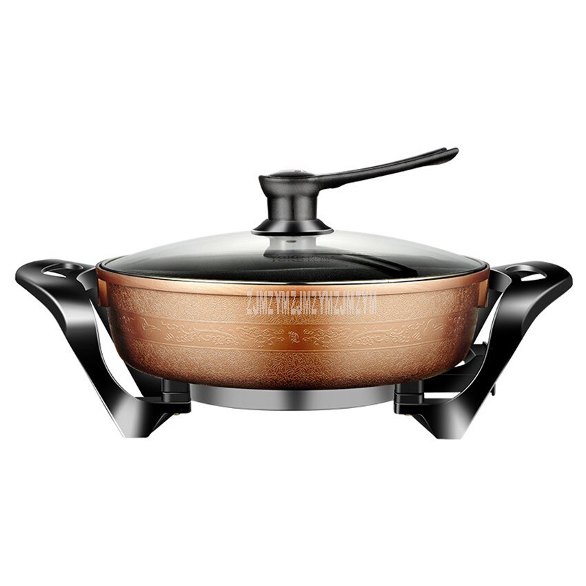5L 1500W 2-Flavor Multifunctional Electric Hotpot ... – Vicedeal