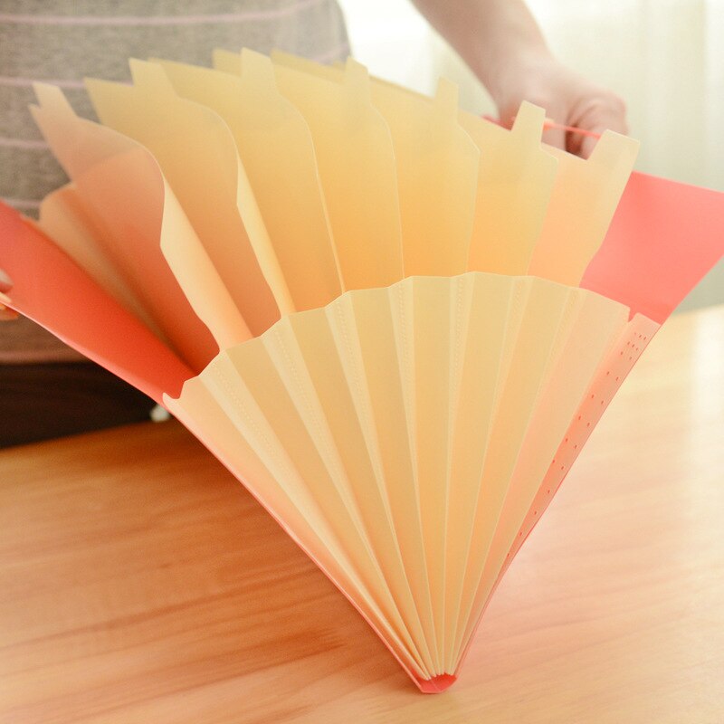 PP Expanding File Folder Accordion Documents Lette... – Grandado