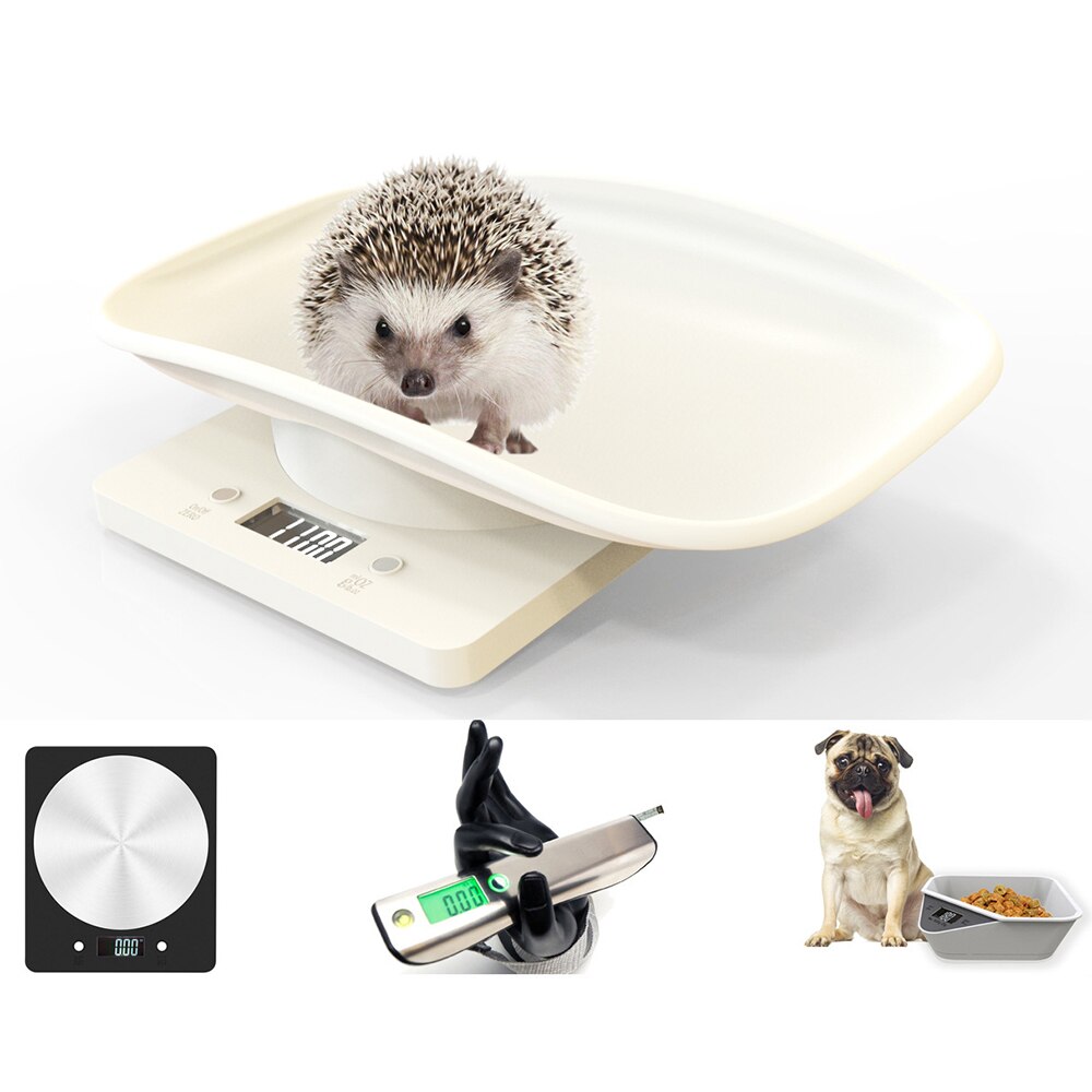 HD LCD Display Measure Tool Plastic Electronic Dig... – Grandado