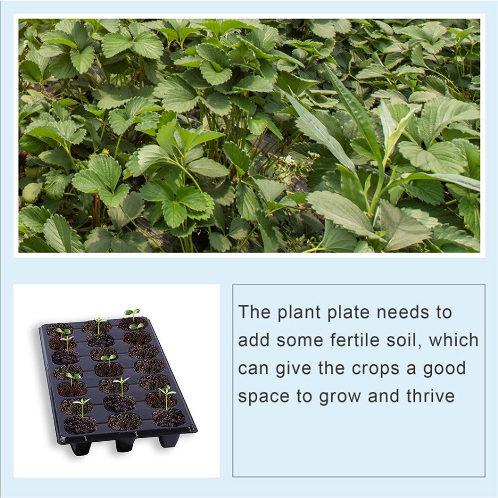 Growing Container Nursery Grow Box Nursery Pots Ga... – Grandado