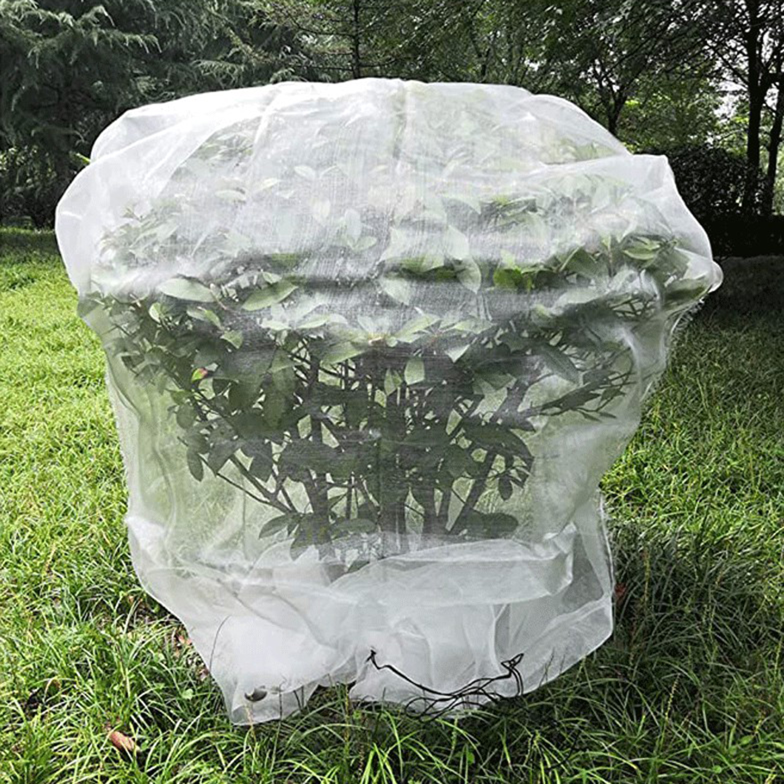 Insect Vogel Barrière Bug Netting Vruchten En Bome... – Vicedeal