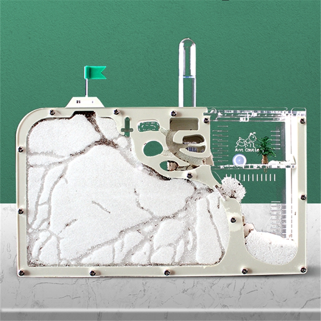 4 Types Big Pet Ant Sand Castle Nest Workshop Home... – Vicedeal