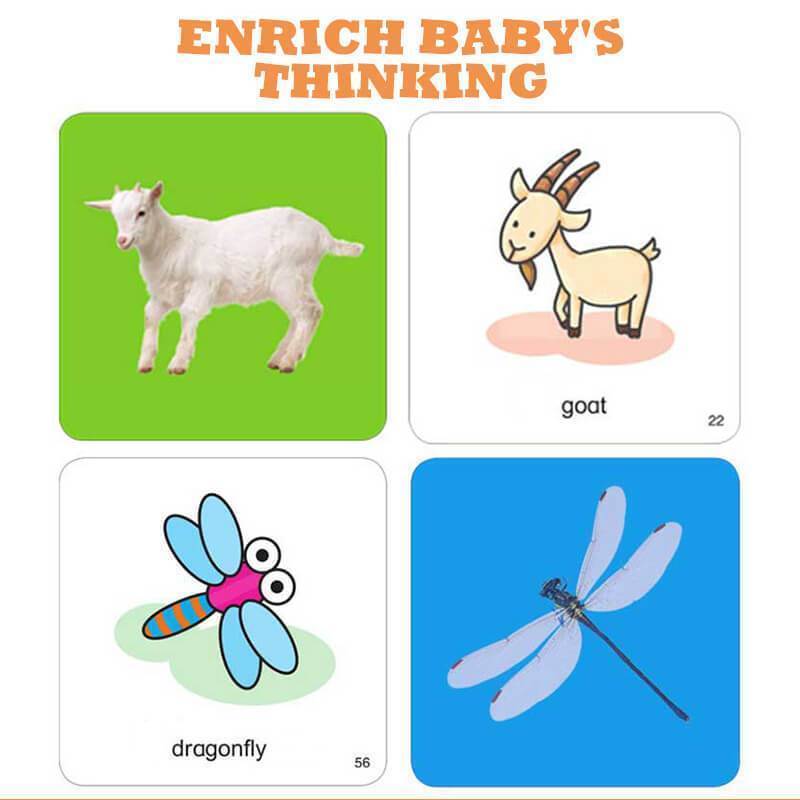 Untearable Scrawling Cognitive Flash Cards Cartoon... – Grandado