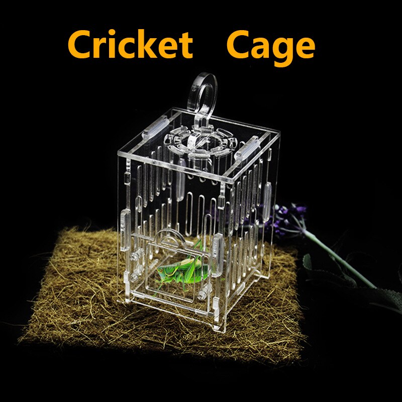 Acrylic Cricket Grasshopper Cage Reptile Insect Ne... – Vicedeal