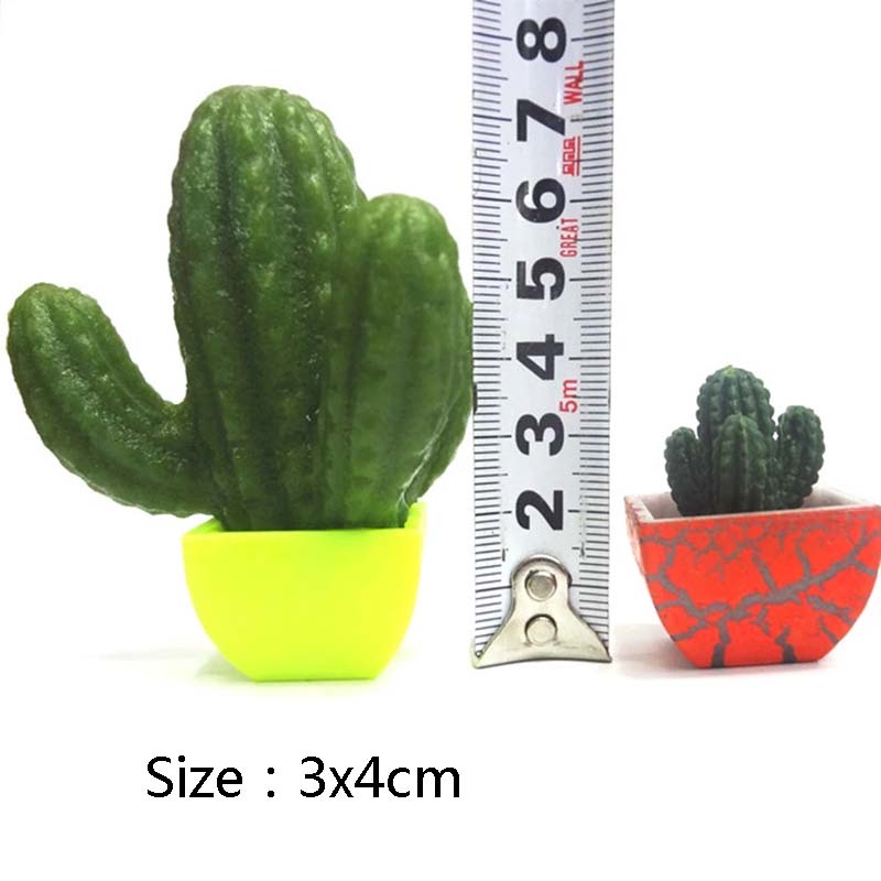 6/48 PCS Magic Plant Flower Cactus Toy Can Grow An... – Vicedeal