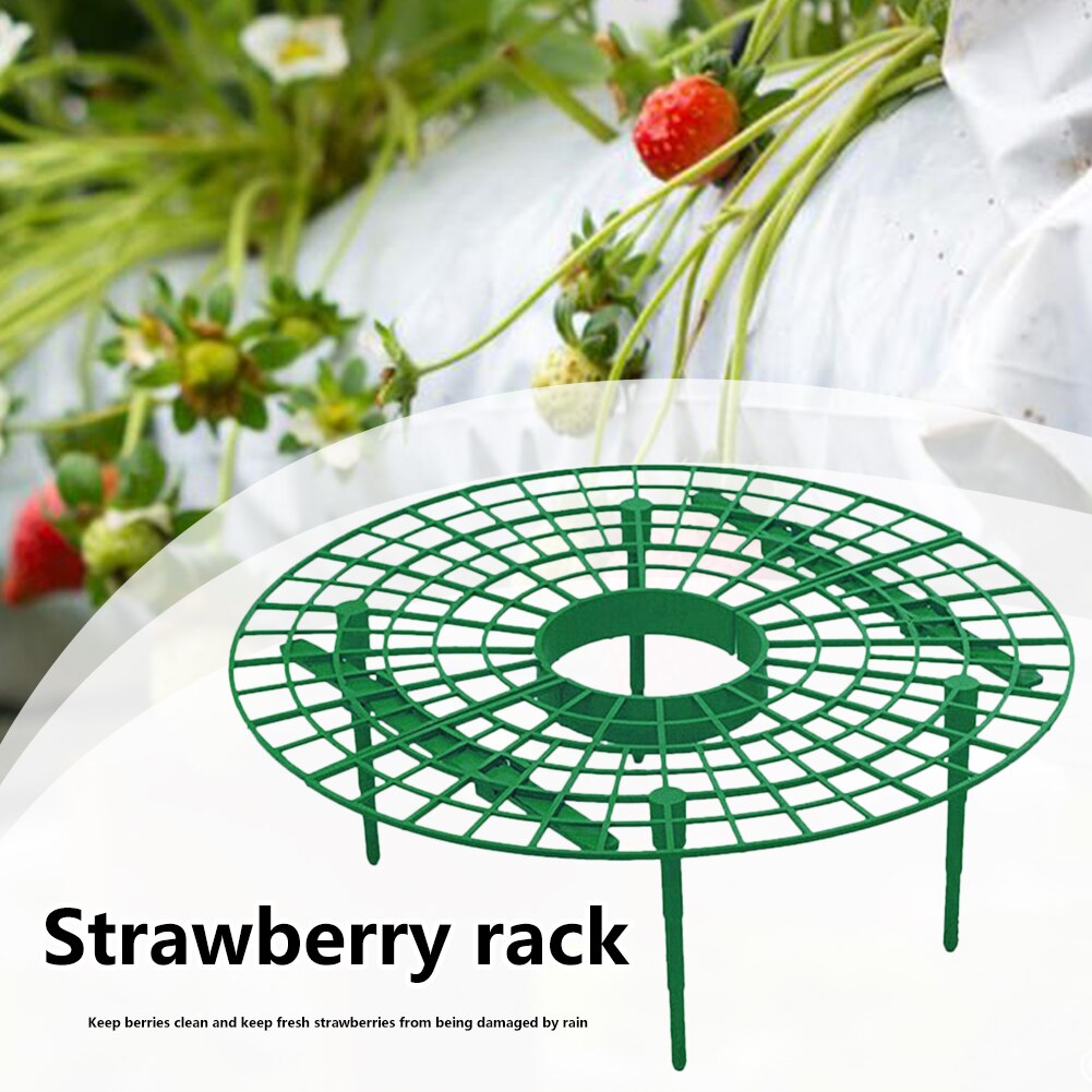Plastic Strawberry Support Stand Removable Vegetab... – Grandado