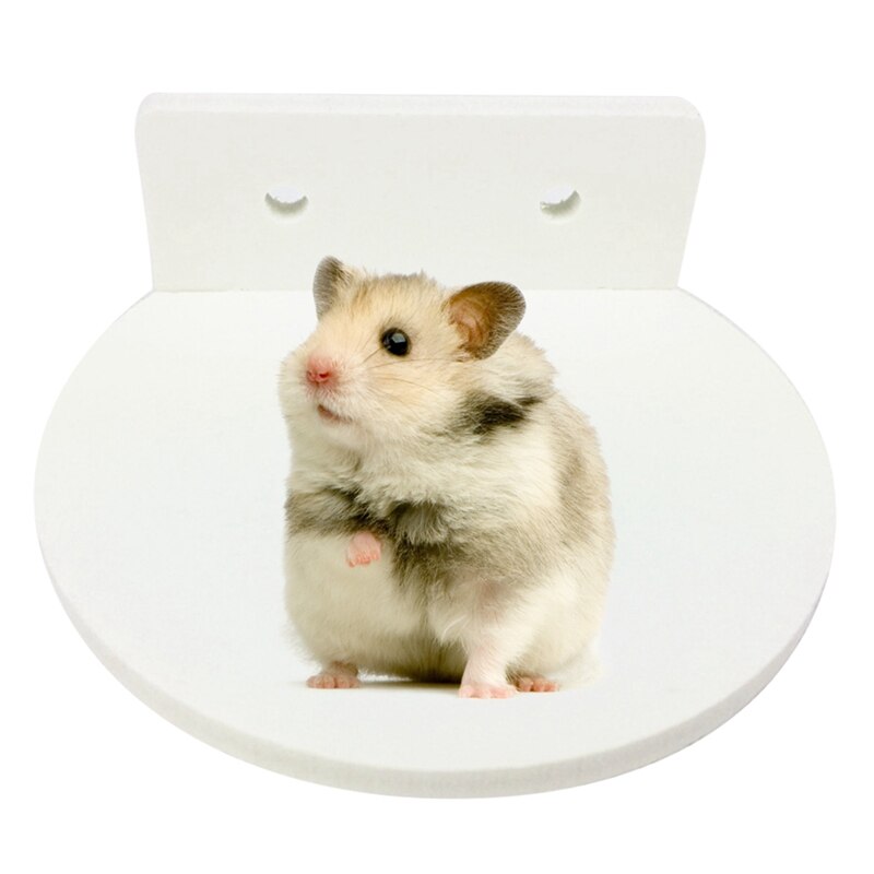 Hamster Platform Small Animals Perches Removable B... – Grandado