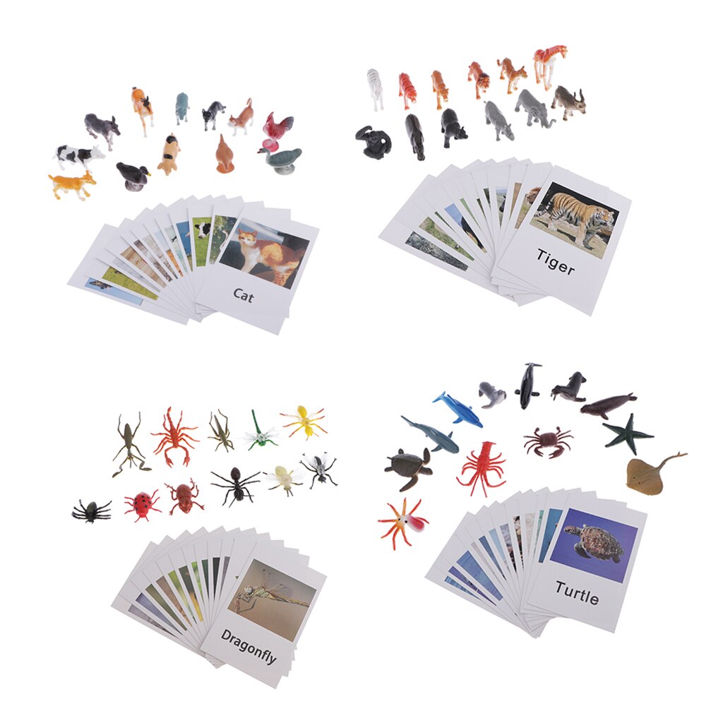 48pc Insects Animals Model Card Toy Kids Learning ... – Vicedeal