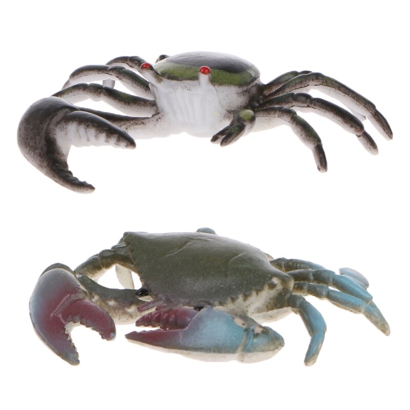 Simulation Animals Crab Model Ocean Beach Life Par... – Grandado