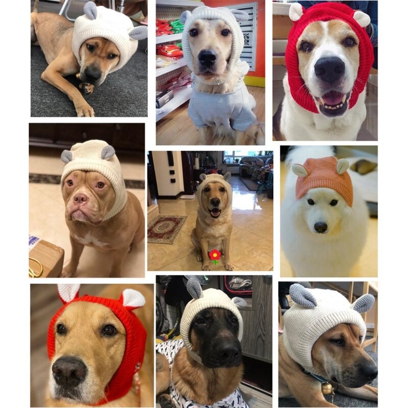 Quiet Ears Hat for Large Dogs Anxiety Grooming Ear... – Grandado