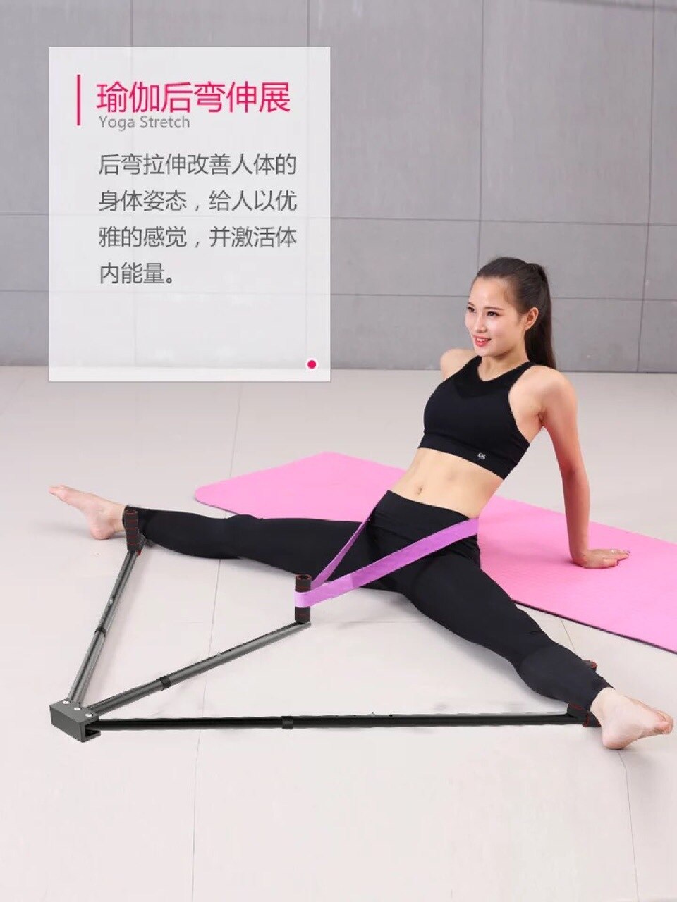 One word horse trainer transverse hip split traine... – Grandado