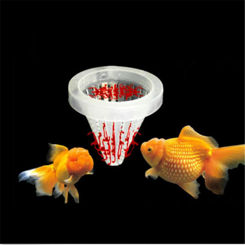 5Pcs/Set Portable Style Aquarium Fish Tank Feeder ... – Grandado