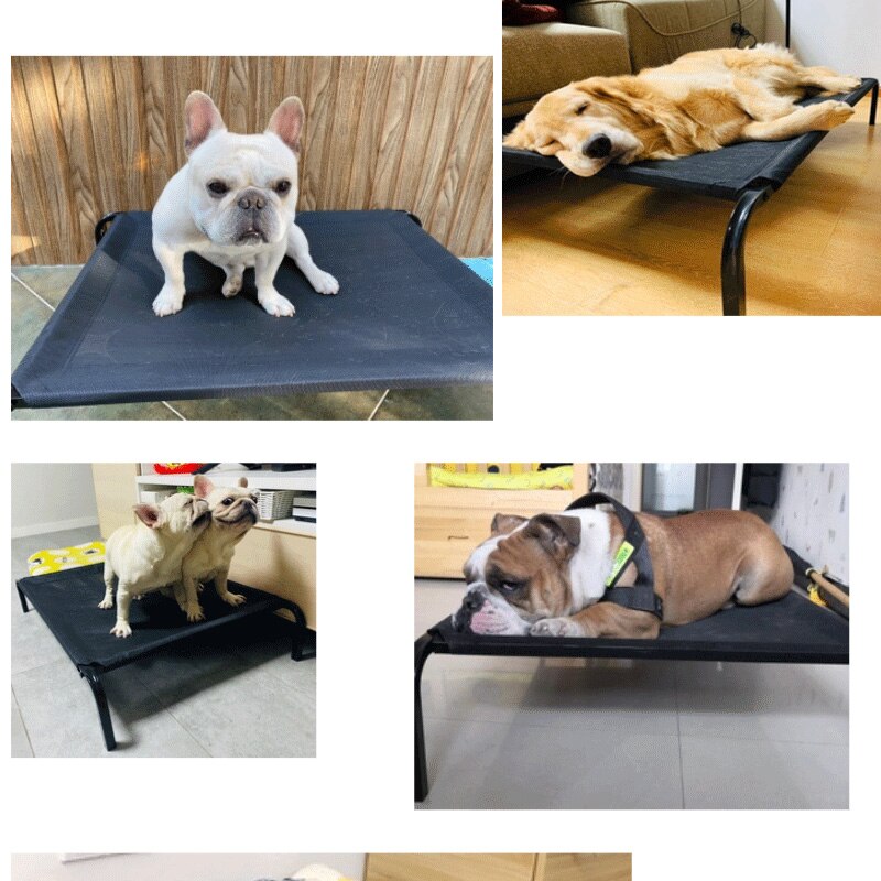 Teslin Pet Bed Dog Cool Bed Iron Frame Mesh Suspen... – Grandado