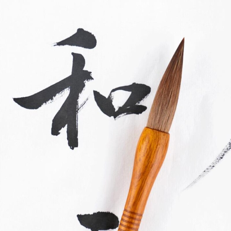 Calligraphy Brush Pen Set Chinese Writing Brush Re... – Grandado