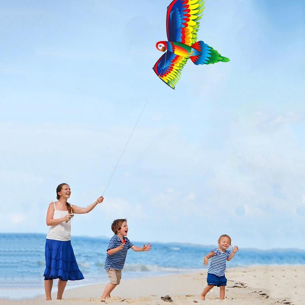 3D Parrot Kite Funny Portable Outdoor Single Line ... – Grandado