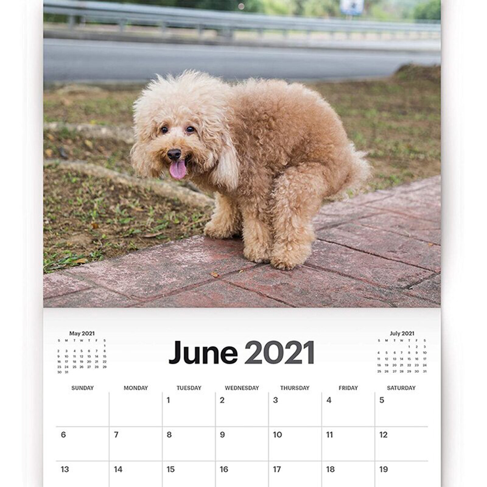 Pooping Dogs/Cat Calendar Hilarious Guide with Pic... – Grandado