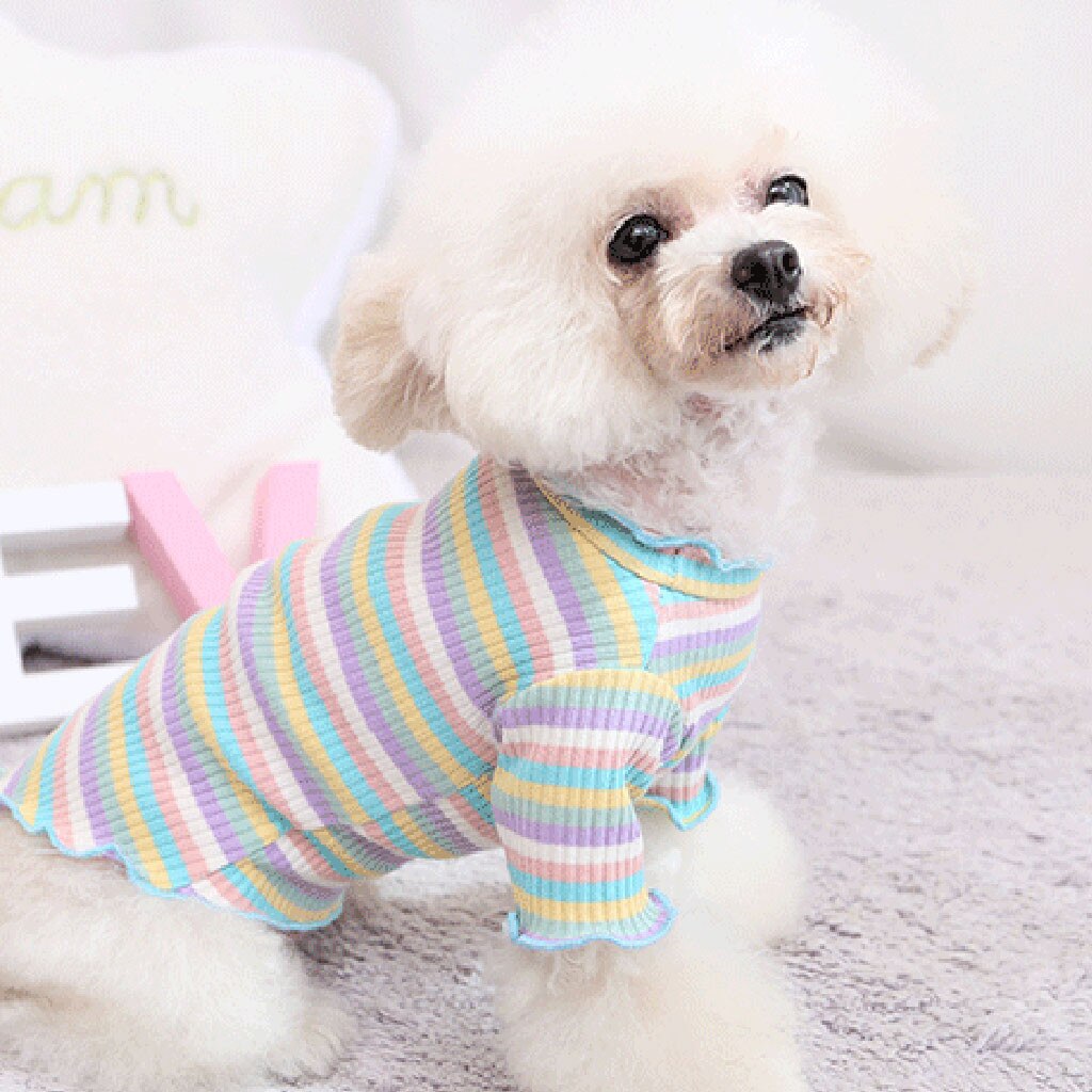 Pet Dog Clothes Puppy Vest T-shirt Shirt Cute Rain... – Grandado