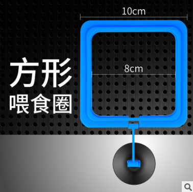 Aquarium Clear Feeding Ring Fish Tank Station Floa... – Grandado
