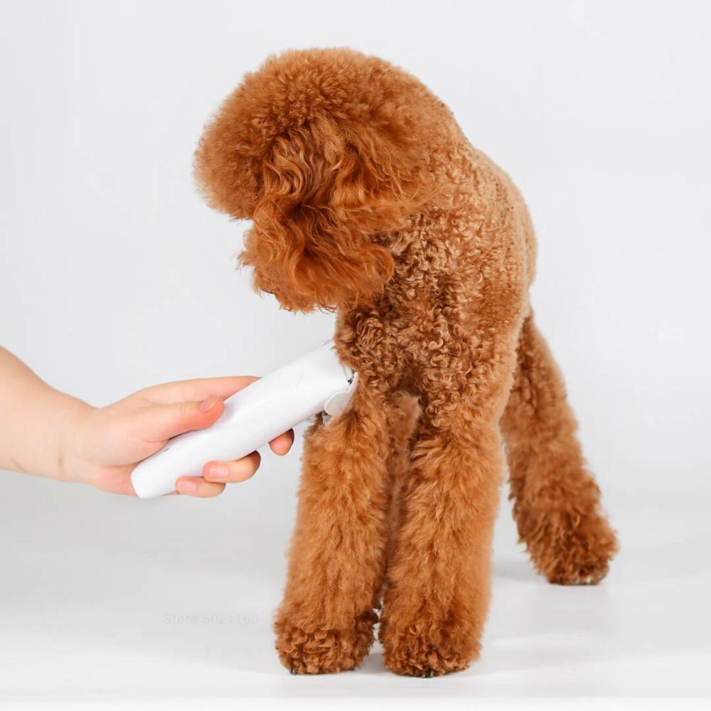 Cat Haircut Machine at Theresa Chapa blog