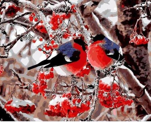 5933 Lovers Birds - Paint by Numbers Kits for Adul... – Vicedeal