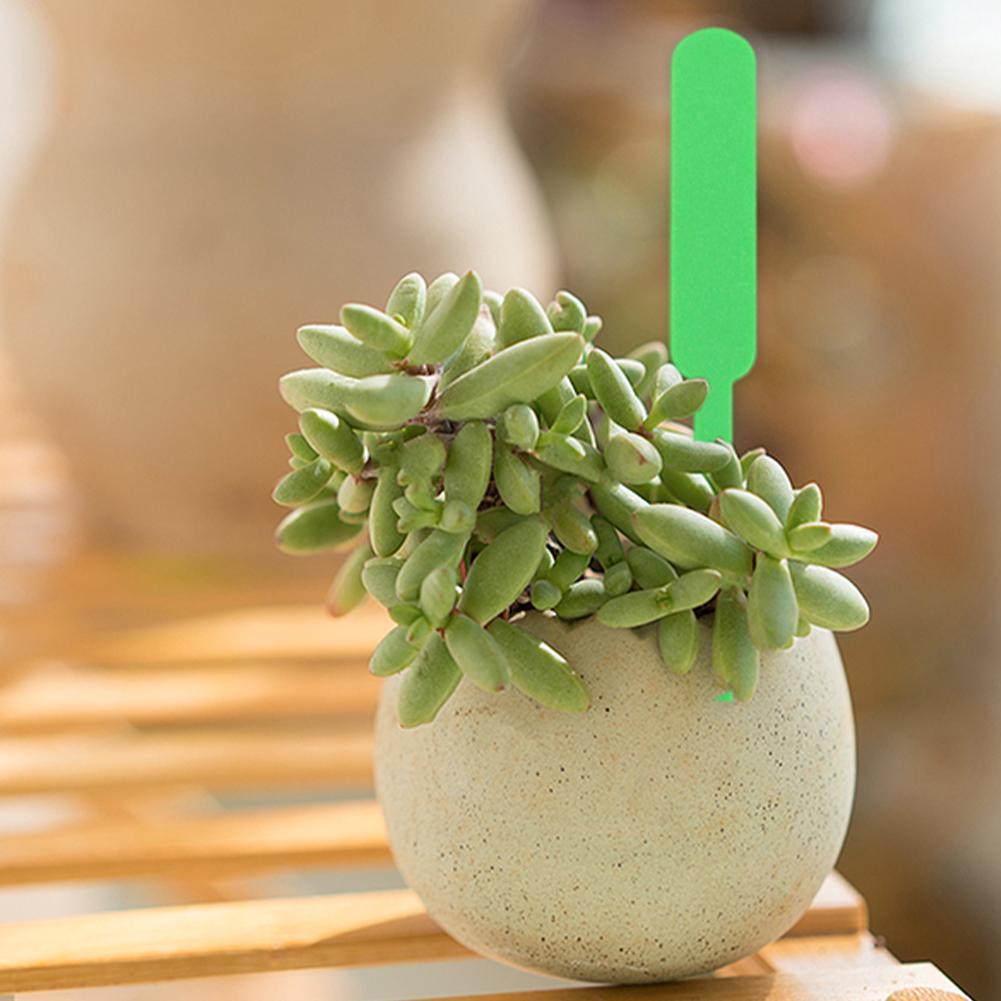 100pcs/lot Plant Labels Garden Sign Waterproof Pla... – Grandado