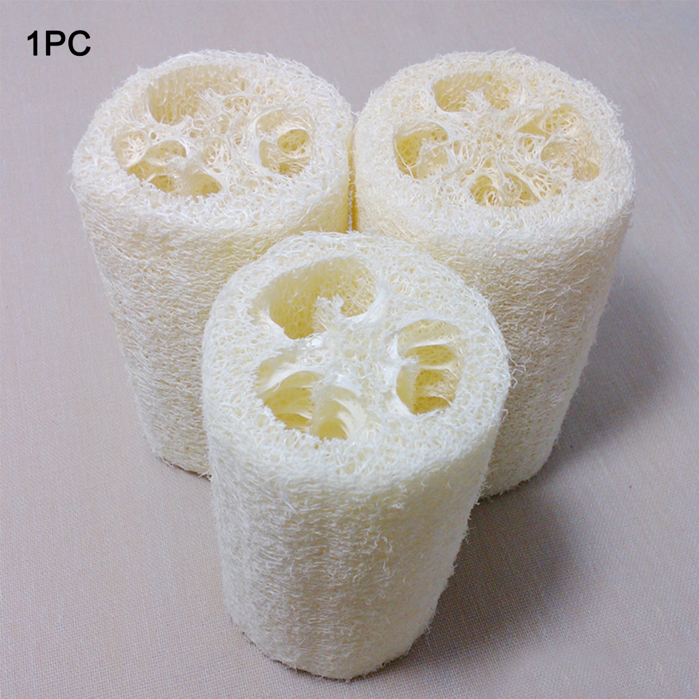 1Pc Natural Loofah Luffa Loofa Bath Shower Sponge ... – Grandado
