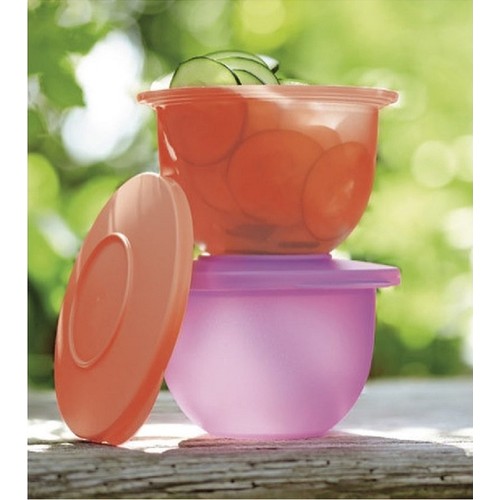 Hsgl Tupperware Eco Cap 2X500 Ml (Opslag Container... – Grandado