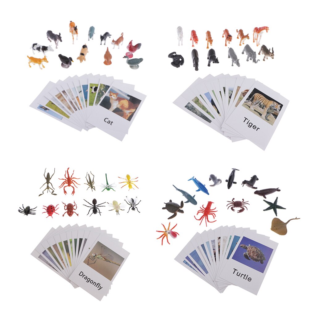 48pc Insects Animals Model Card Toy Kids Learning ... – Vicedeal