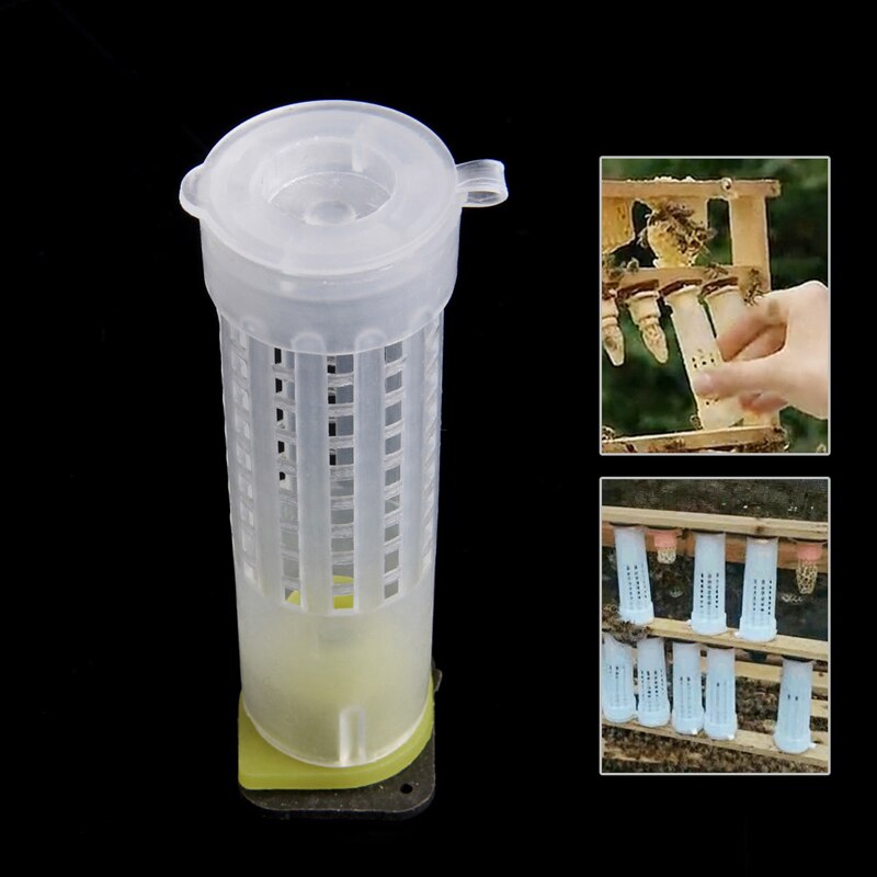 10x Beekeeping Rearing Cup Kit Bee Queen Cages Rol... – Grandado