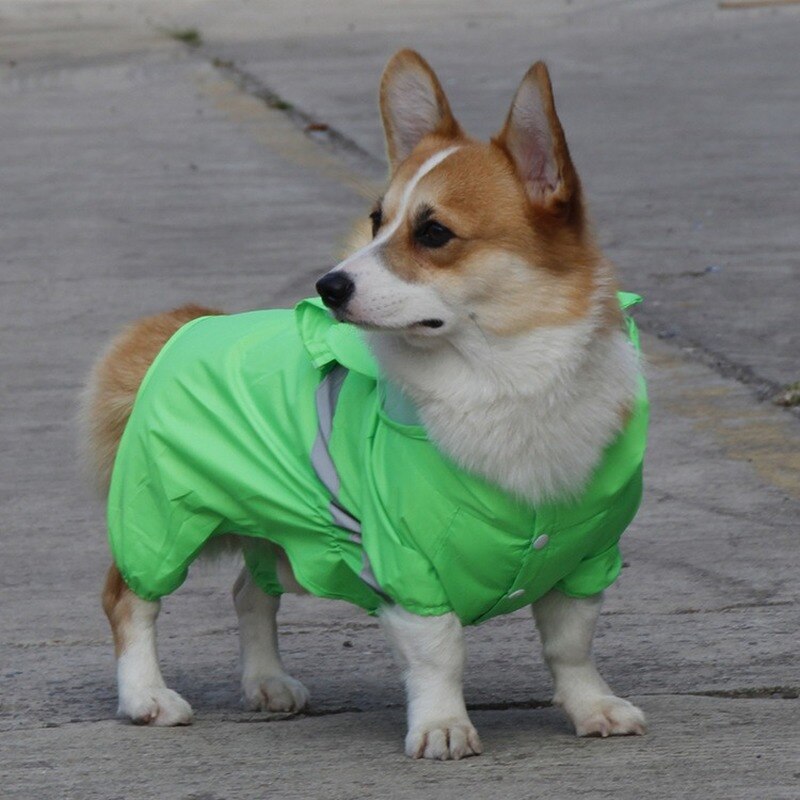 Lighted Dog Raincoat Four Legs Puppy Rainsuit Wate... – Grandado