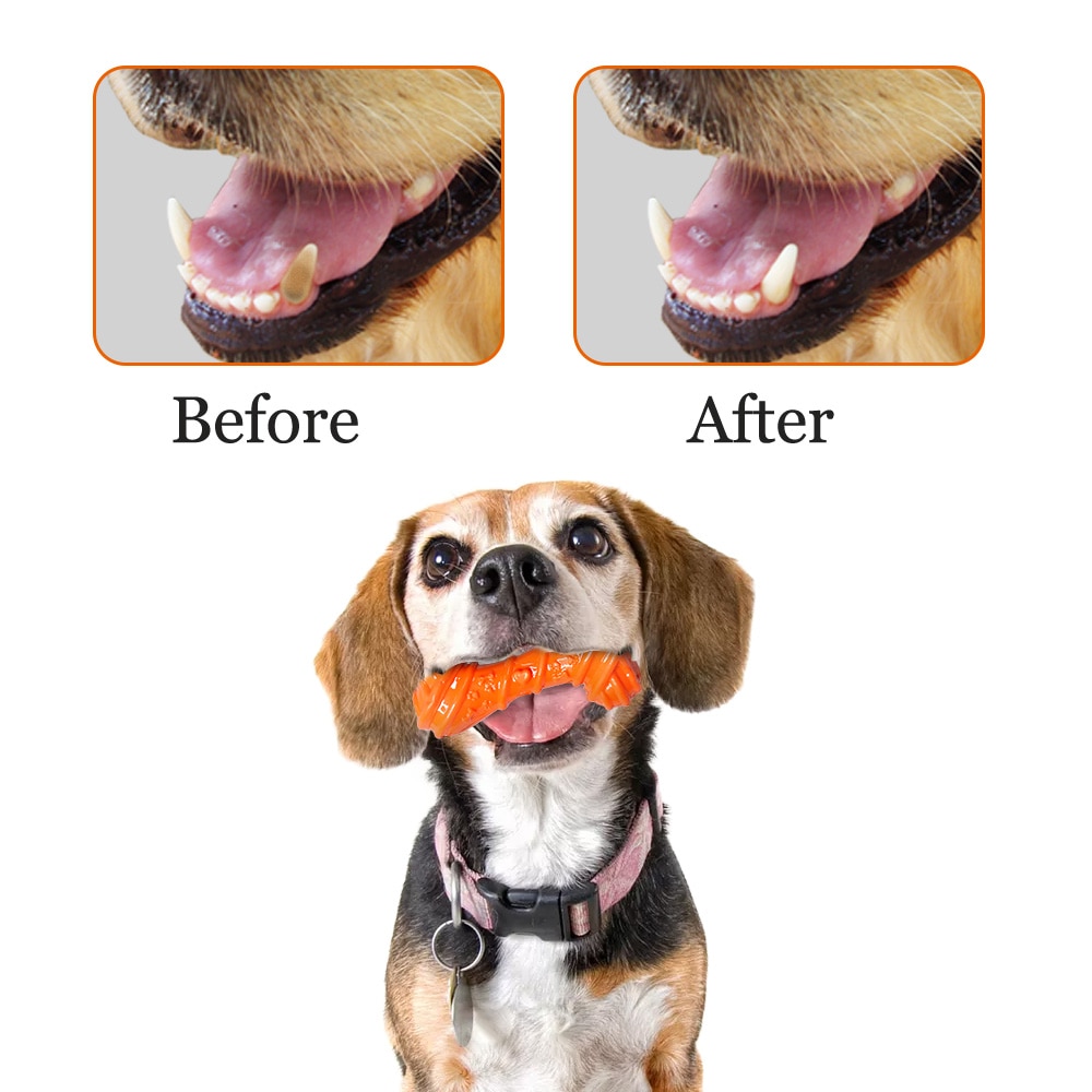 Dog Chew Toys for Medium Small Dogs Aggressive Che... – Grandado