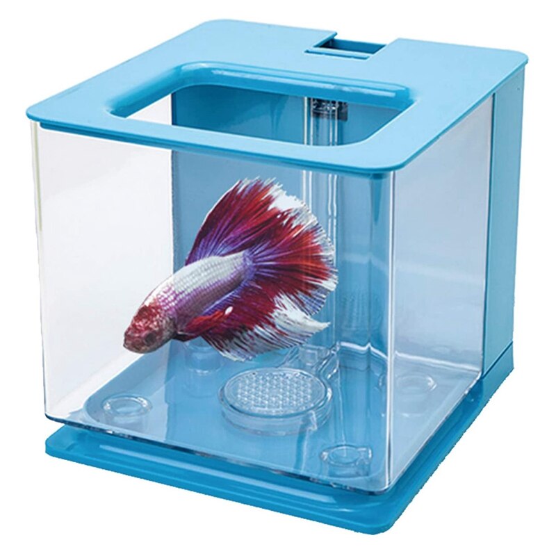 Betta Fish Tank Aquarium Fish Tank Easy to Change ... – Grandado
