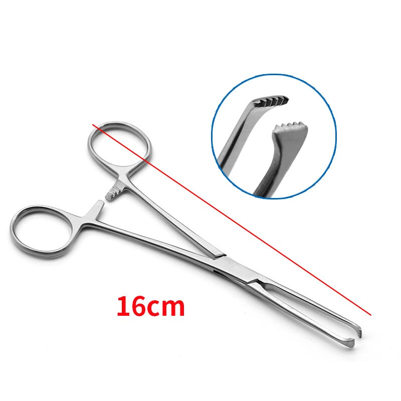 Beauty plastic tissue forceps Mouse tooth forceps ... – Vicedeal
