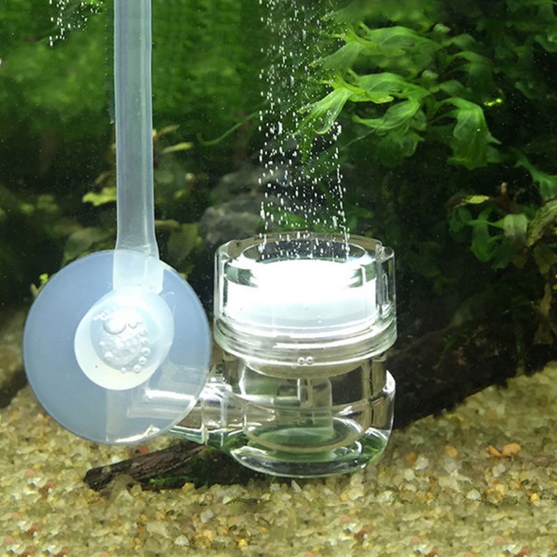 Co2 Diffuser with Bubble Acrylic Counter Aquarium ... – Grandado