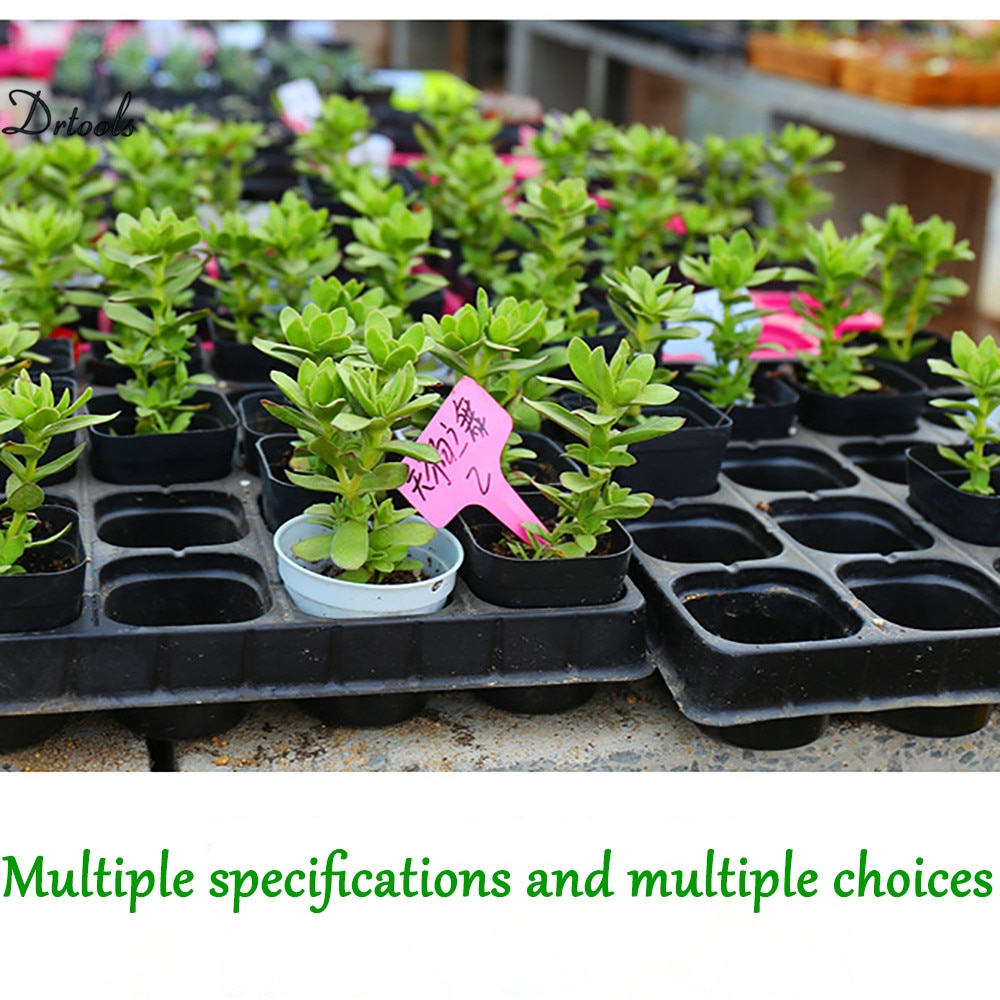 4Pcs/Pack Cells Seedling Starter Tray Extra Streng... – Grandado