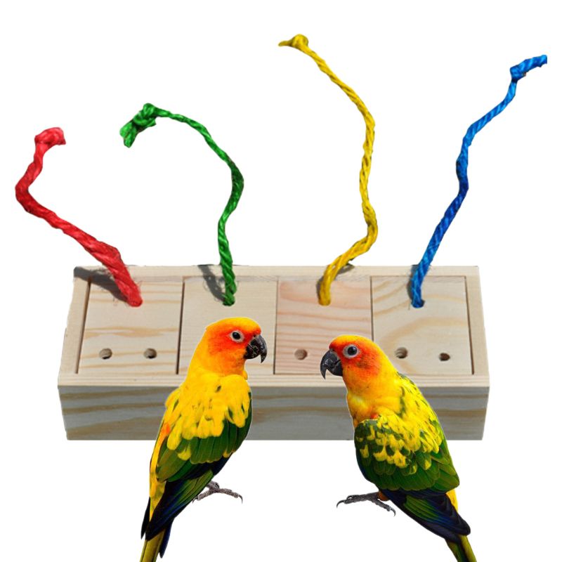 Bird Parrot Intelligence Toy Wooden Box Food Forag... – Grandado