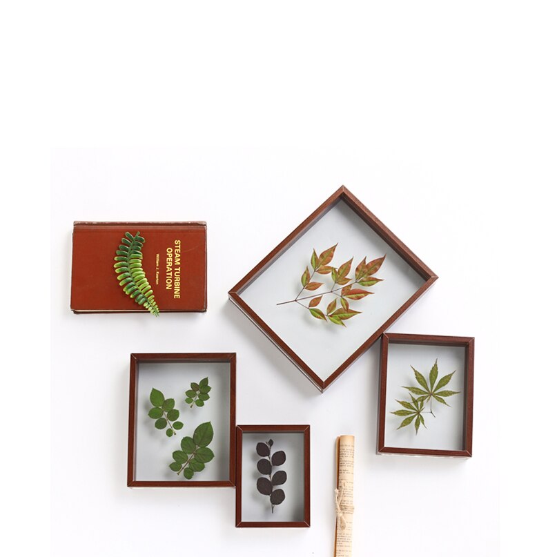 SUFEILE Plant specimen Picture frame 6 inch solid ... – Vicedeal